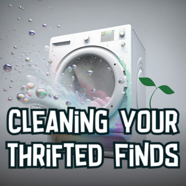 Cleaning Your Thrifted Finds – Kelly from the Deli